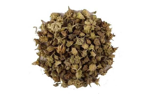 Dark Forest Gokhru (Caltrops) Powder: Uses, Price, Dosage, Side Effects ...